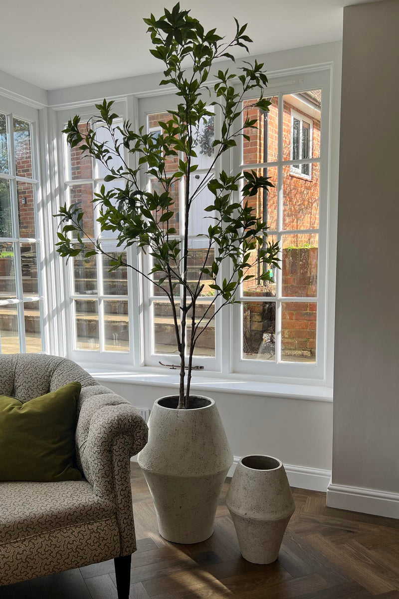 Artificial Bucida Tree – RTfact Flowers