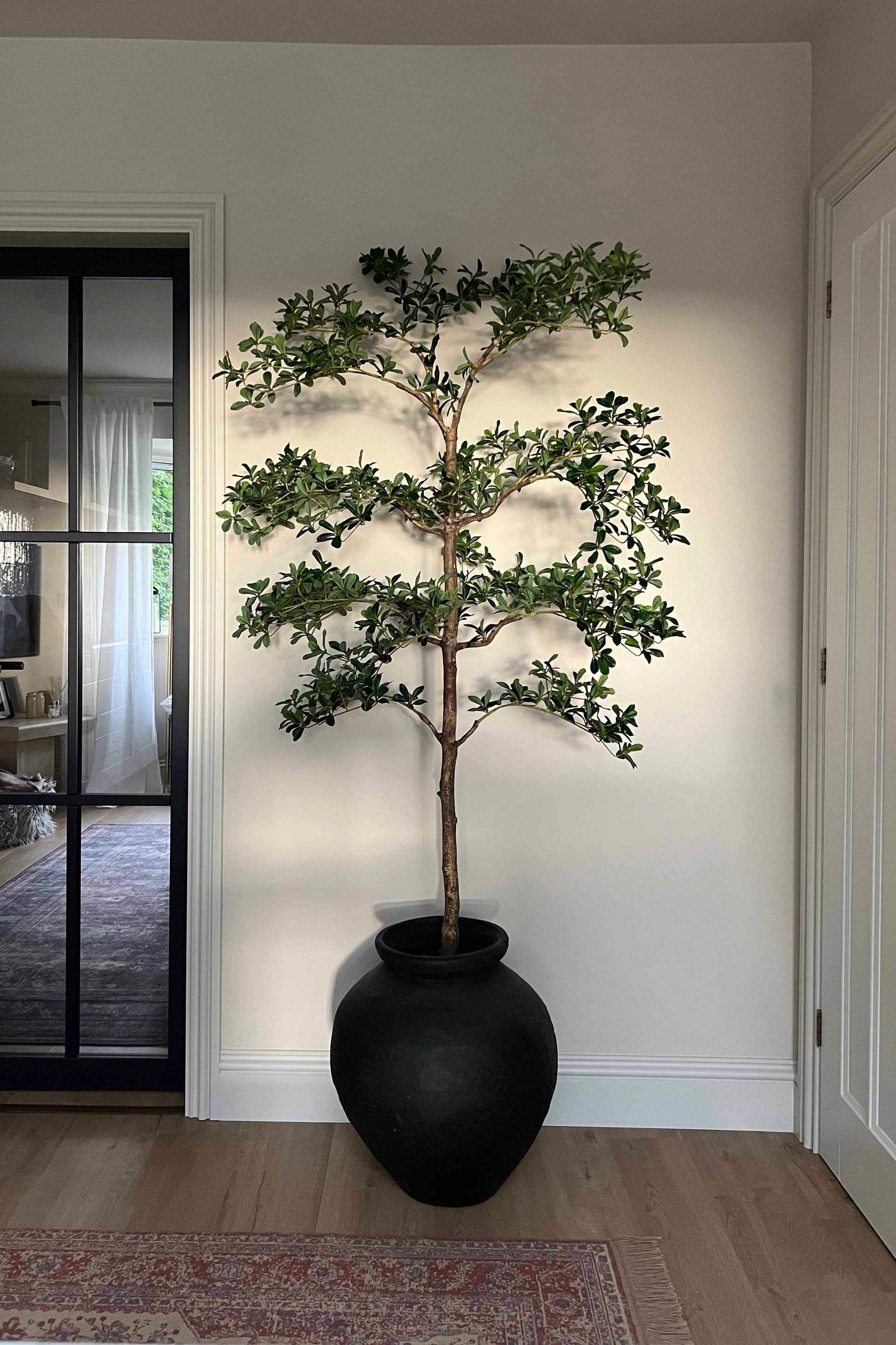 Shady Lady Tree – RTfact Flowers