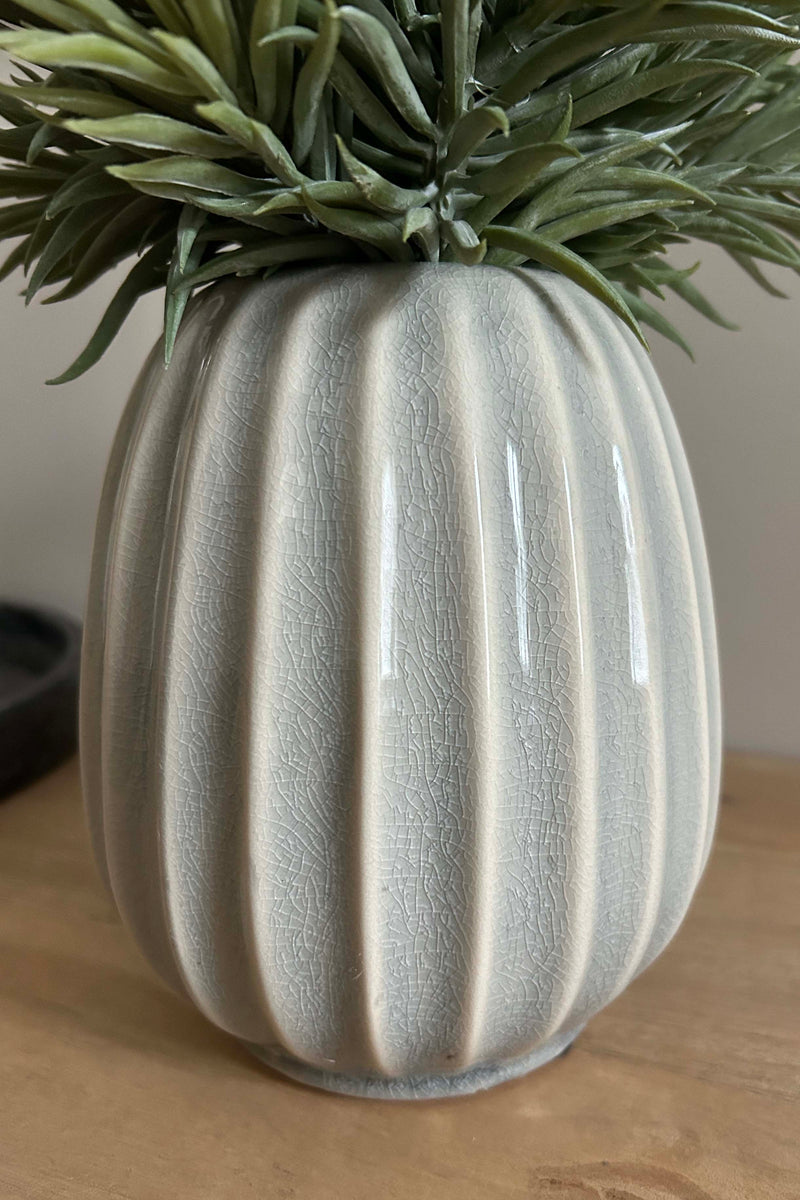 Spiky Succulents in a Glazed Pale Stone Vase – RTfact Flowers