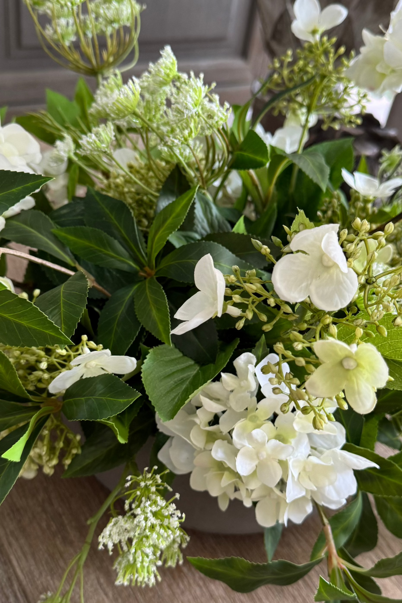 Bucida, Hydrangea Spray and Queen Anne's Lace in a Low Bowl – RTfact ...