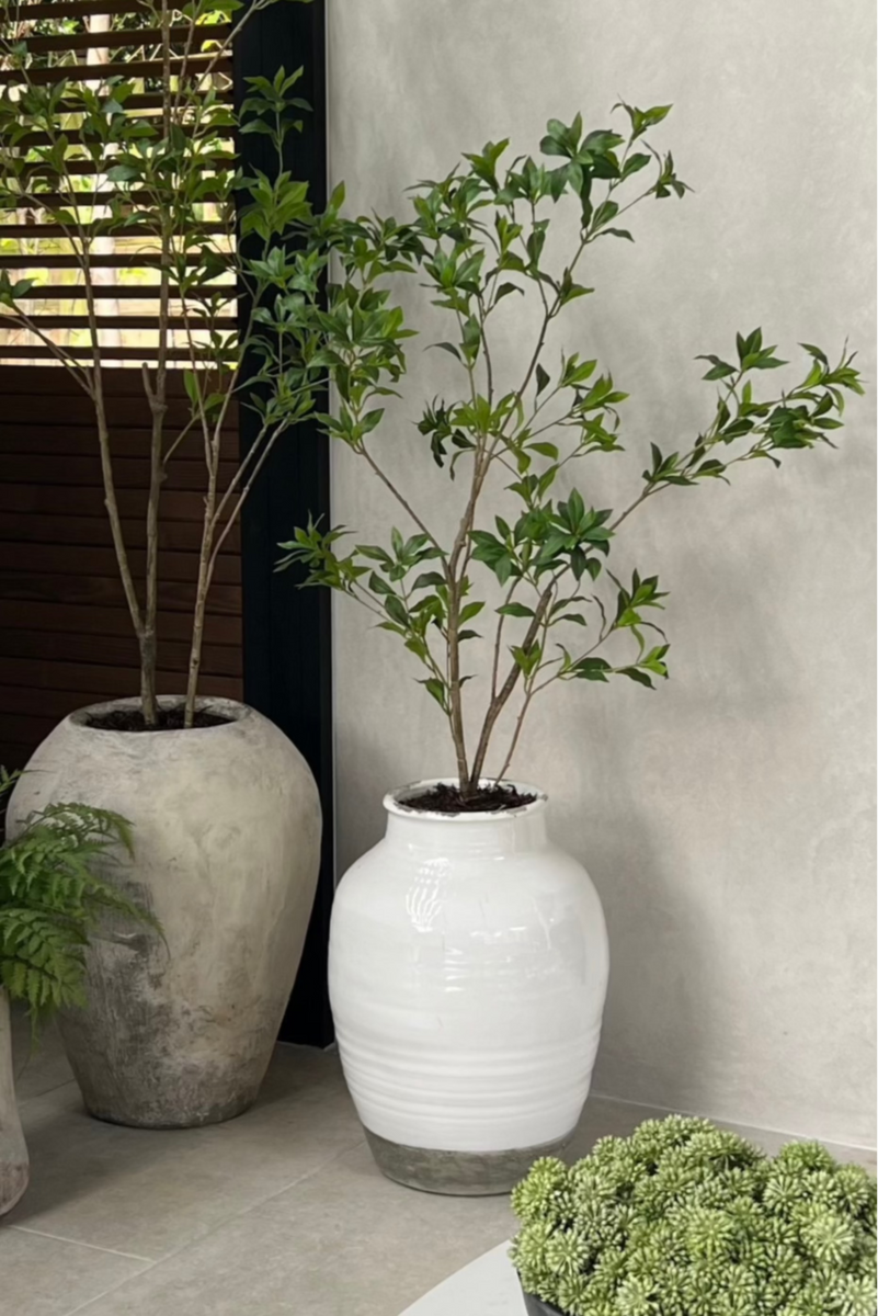 Artificial Bucida Tree - Small – RTfact Flowers