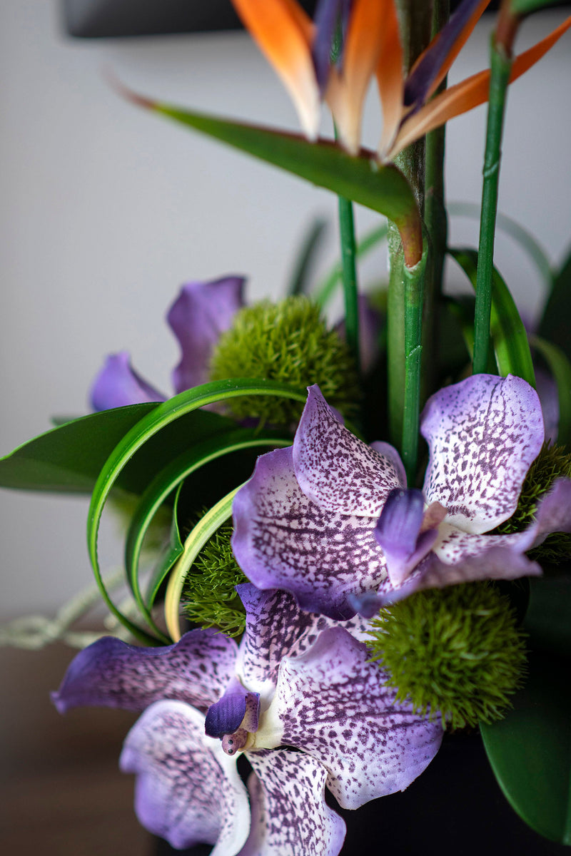 Tropical Birds of Paradise and Vanda Orchids in Black Vase (Large ...