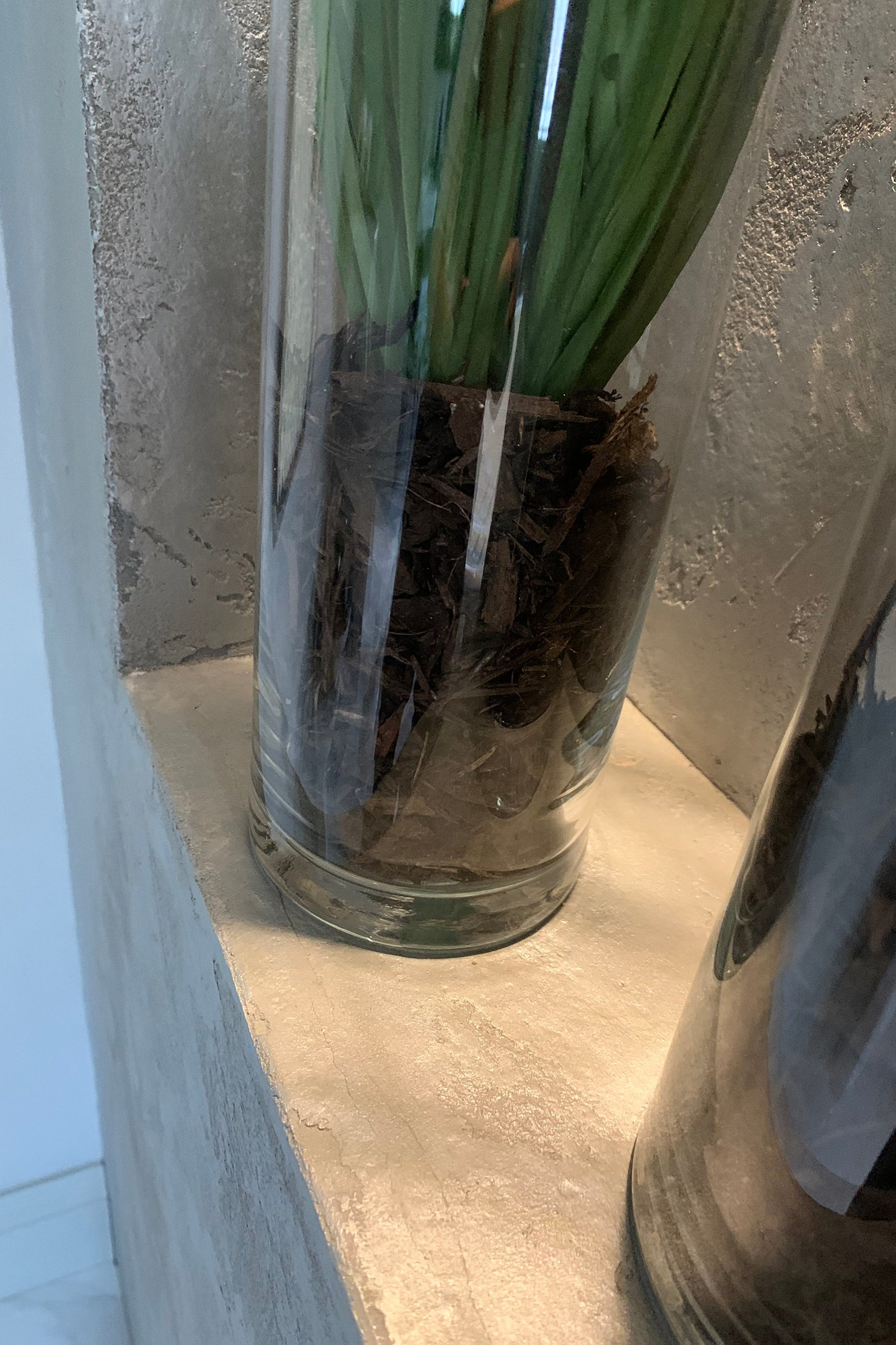 Grasses in a Glass Cylinder (Large) – RTfact Flowers