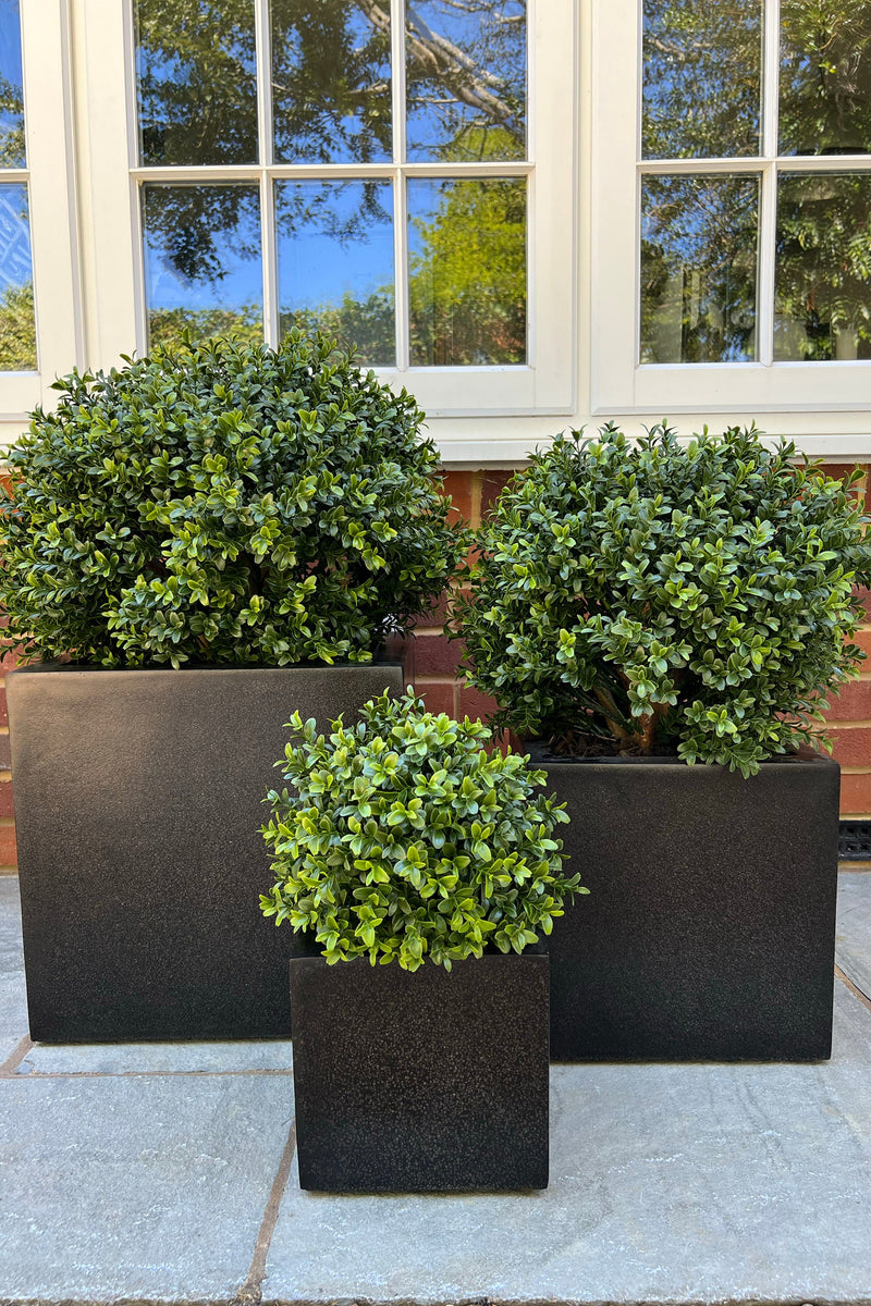Artificial Box Ball in a Black Cube – RTfact Flowers