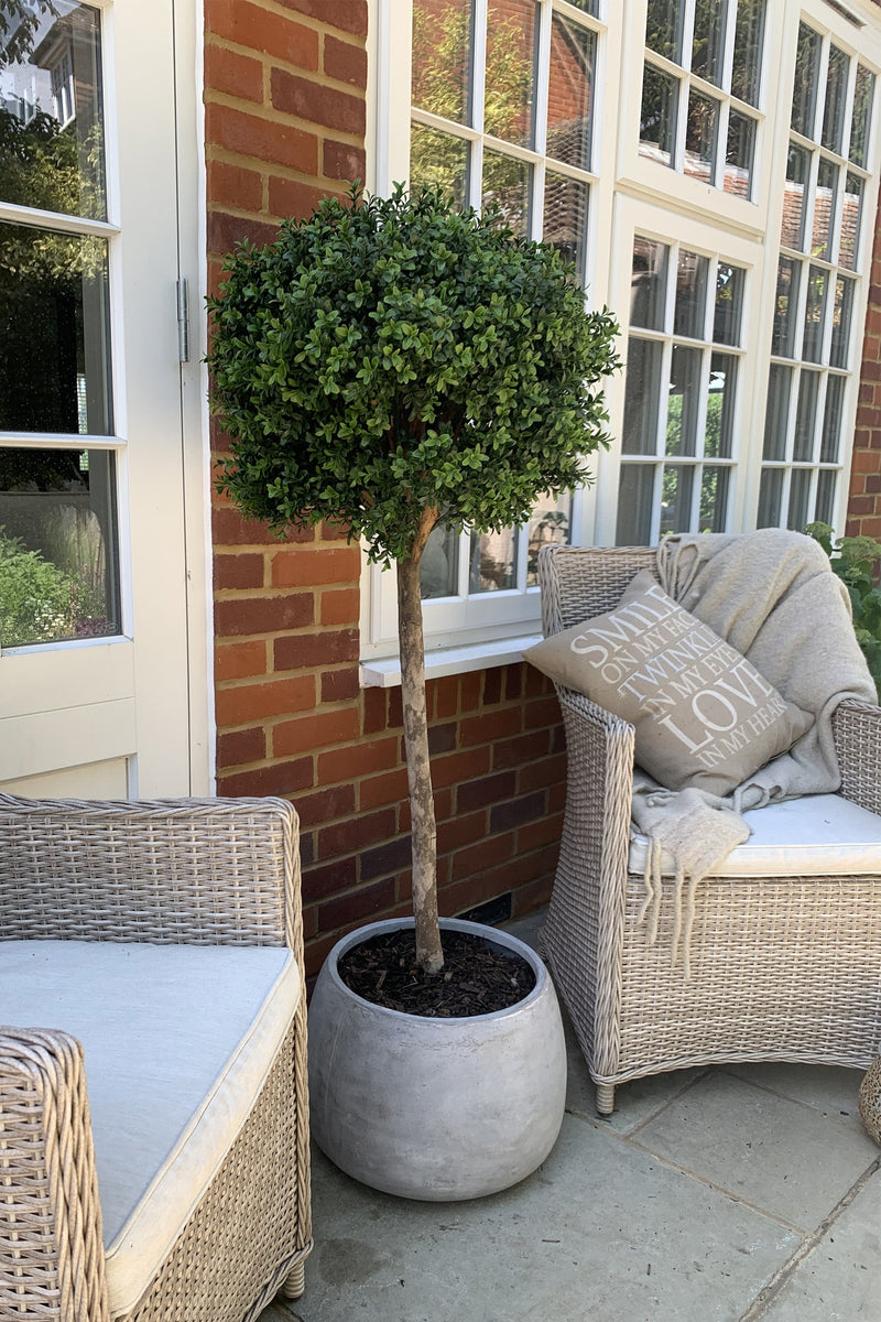 Artificial Lollipop Box Ball Tree – RTfact Flowers