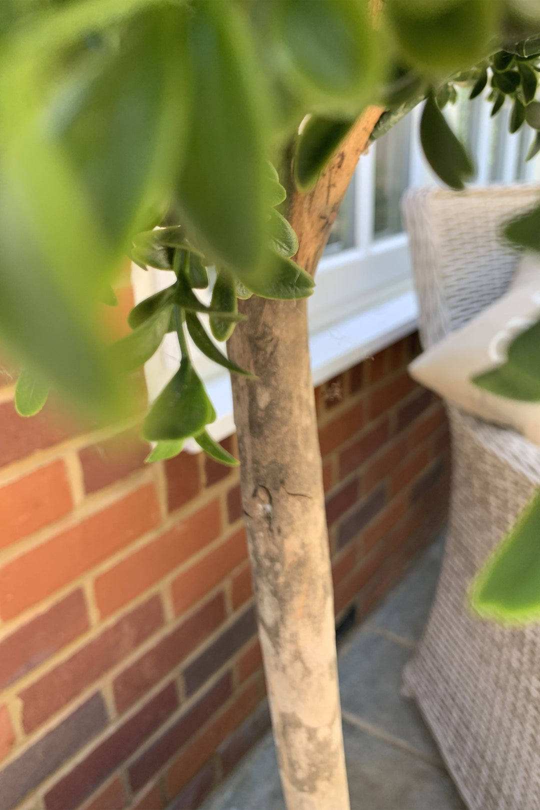 Artificial Lollipop Box Ball Tree – RTfact Flowers